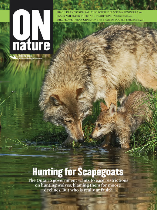 Spring 2020 - ON Nature Magazine - Page 1