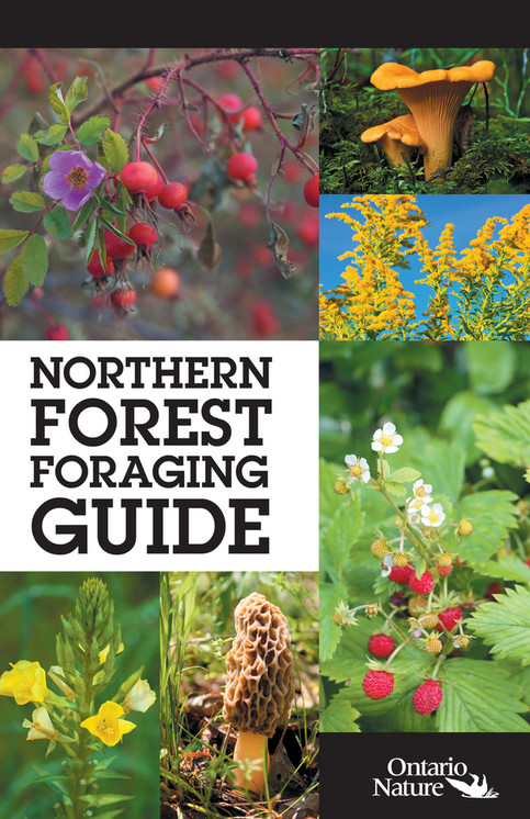 Northern Ontario Foraging Guide - Page 1