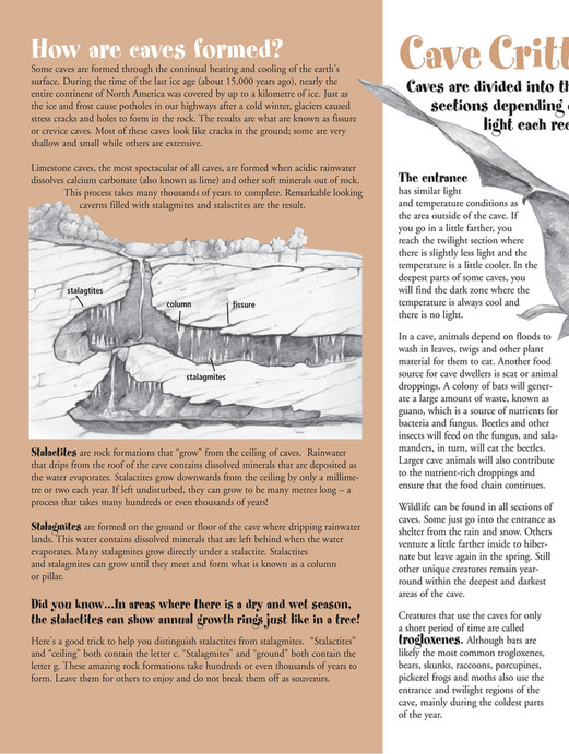 ON Nature magazine - 2004-summer-caves - Page 1