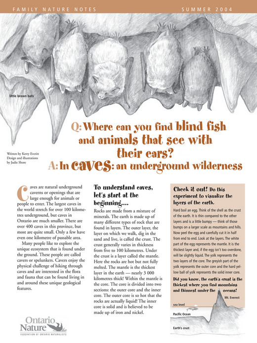 ON Nature magazine - 2004-summer-caves - Page 1