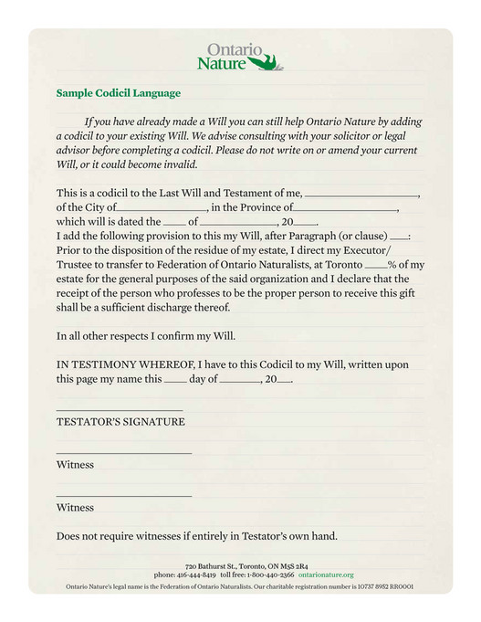 Sample Codicil - Page 1