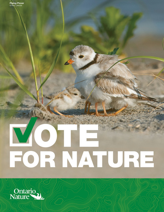 ON Nature magazine - Vote For Nature - Page 1