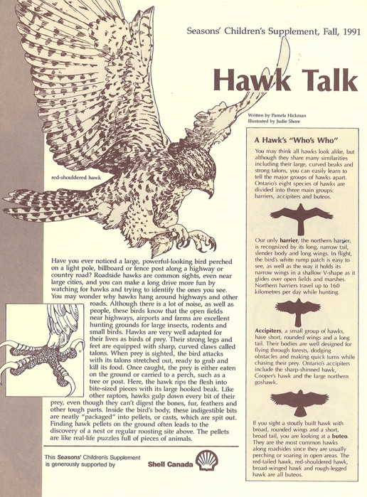 ON Nature magazine 1991 fall hawk - Page 1