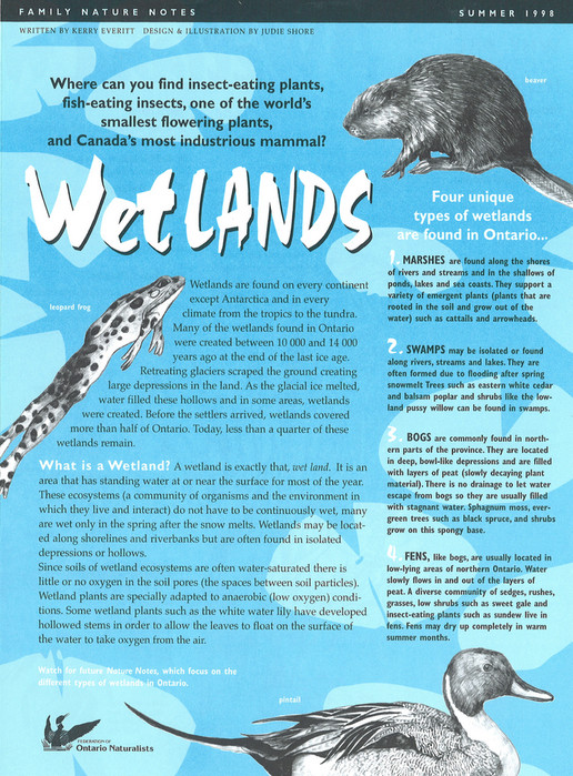 ON Nature magazine 1998 summer wetlands - Page 1