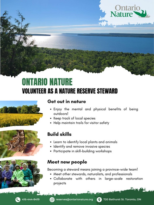ON Nature magazine - Nature Reserve Volunteer Steward - Page 1