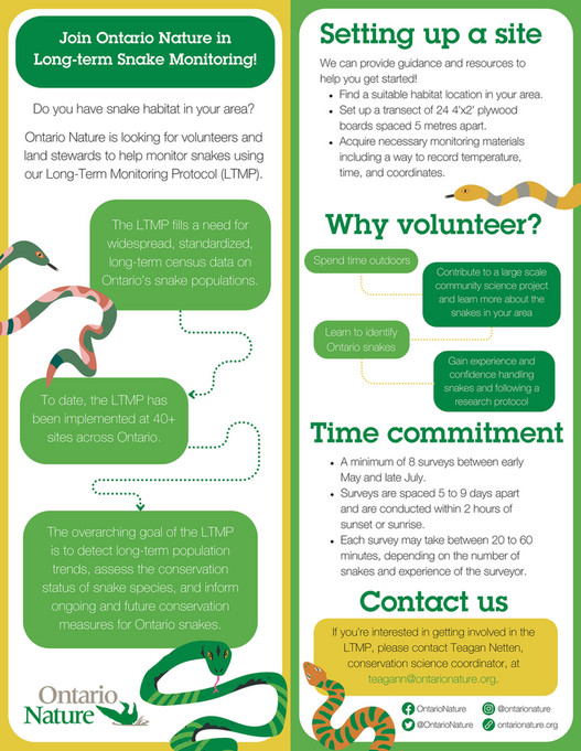 Join Ontario Nature in Long-term Snake Monitoring - Page 1