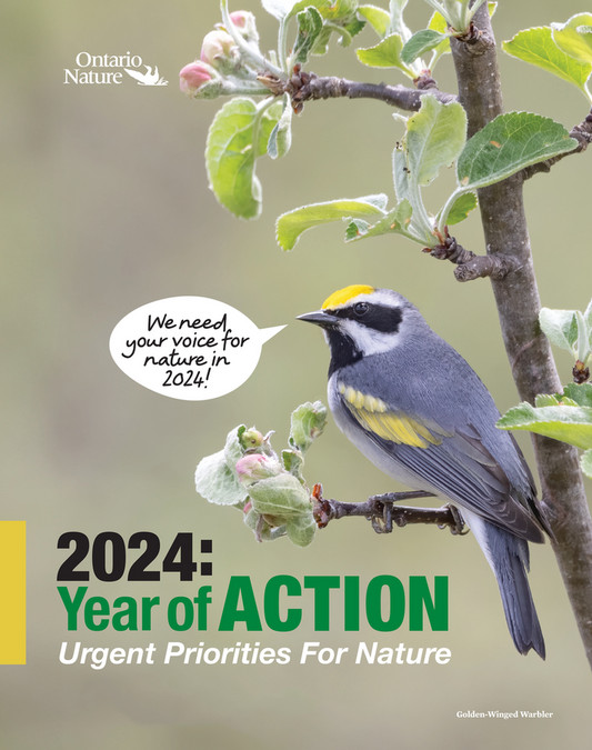 ON Nature magazine - Conservation-Action-Report - Page 1