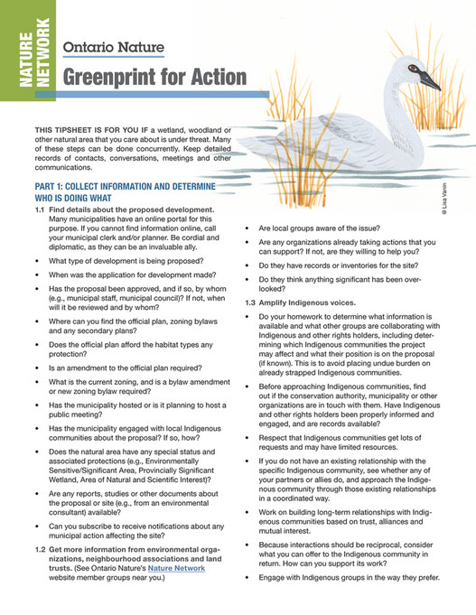 A Greenprint for Action - Page 1