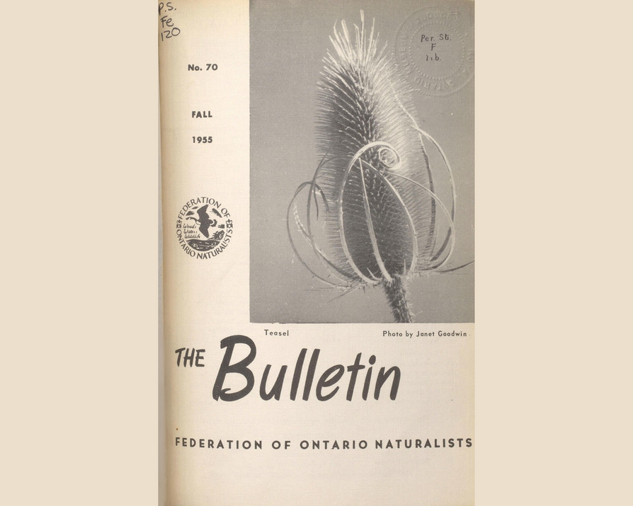 ON Nature Magazine - Fall 1955 - Page 1