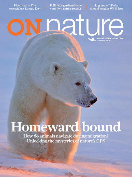 ON Nature magazine - Spring_2015 - Page 1