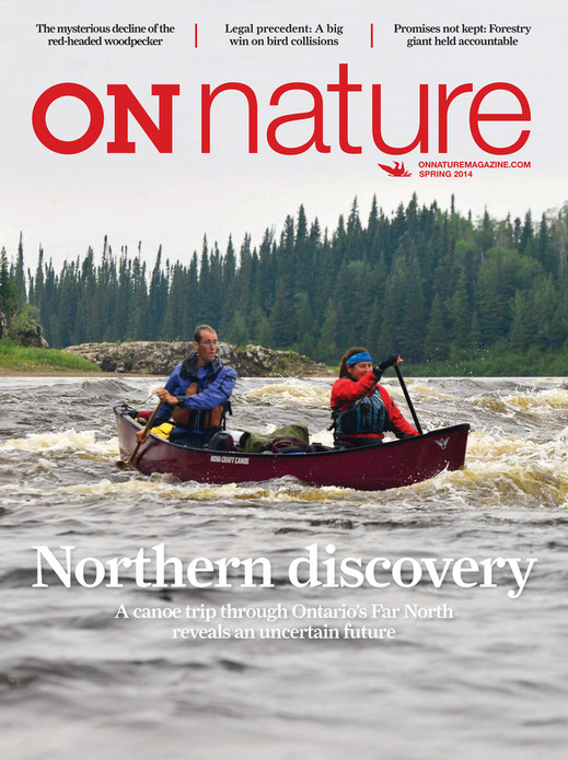 ON Nature magazine - Spring_2014 - Page 1