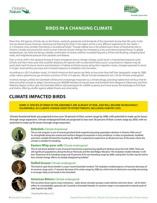 Birds in a Changing Climate - Climate Impacted Birds - Page 1
