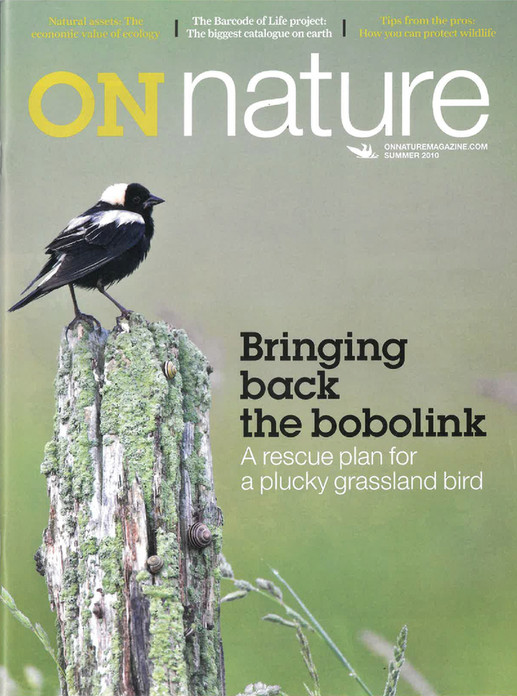 ON Nature magazine - Summer_2010 - Page 1